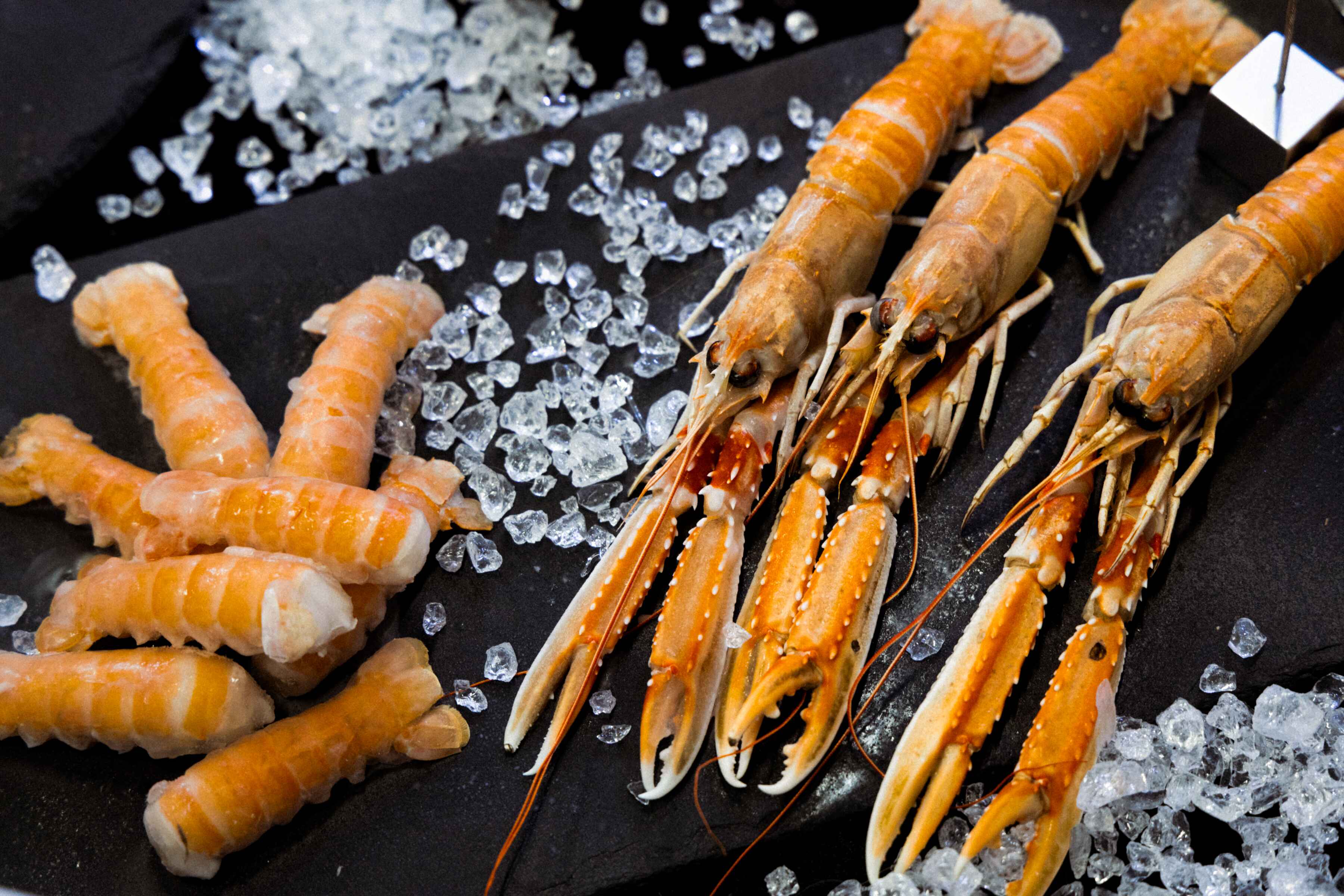 Anuga Frozen Food | Anuga