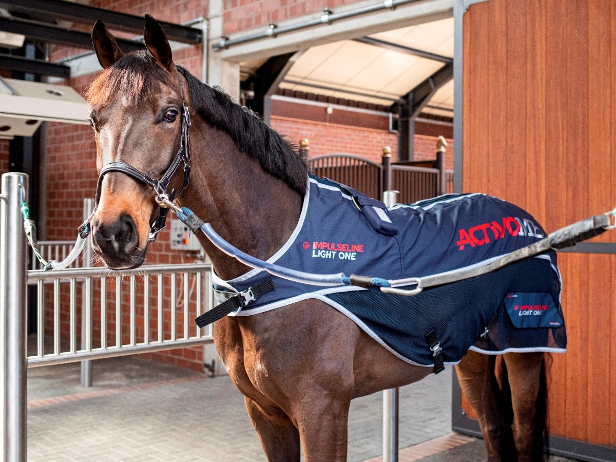 Alle 30 Nominierten der spoga horse TOP INNOVATIONS 2022 | spoga horse